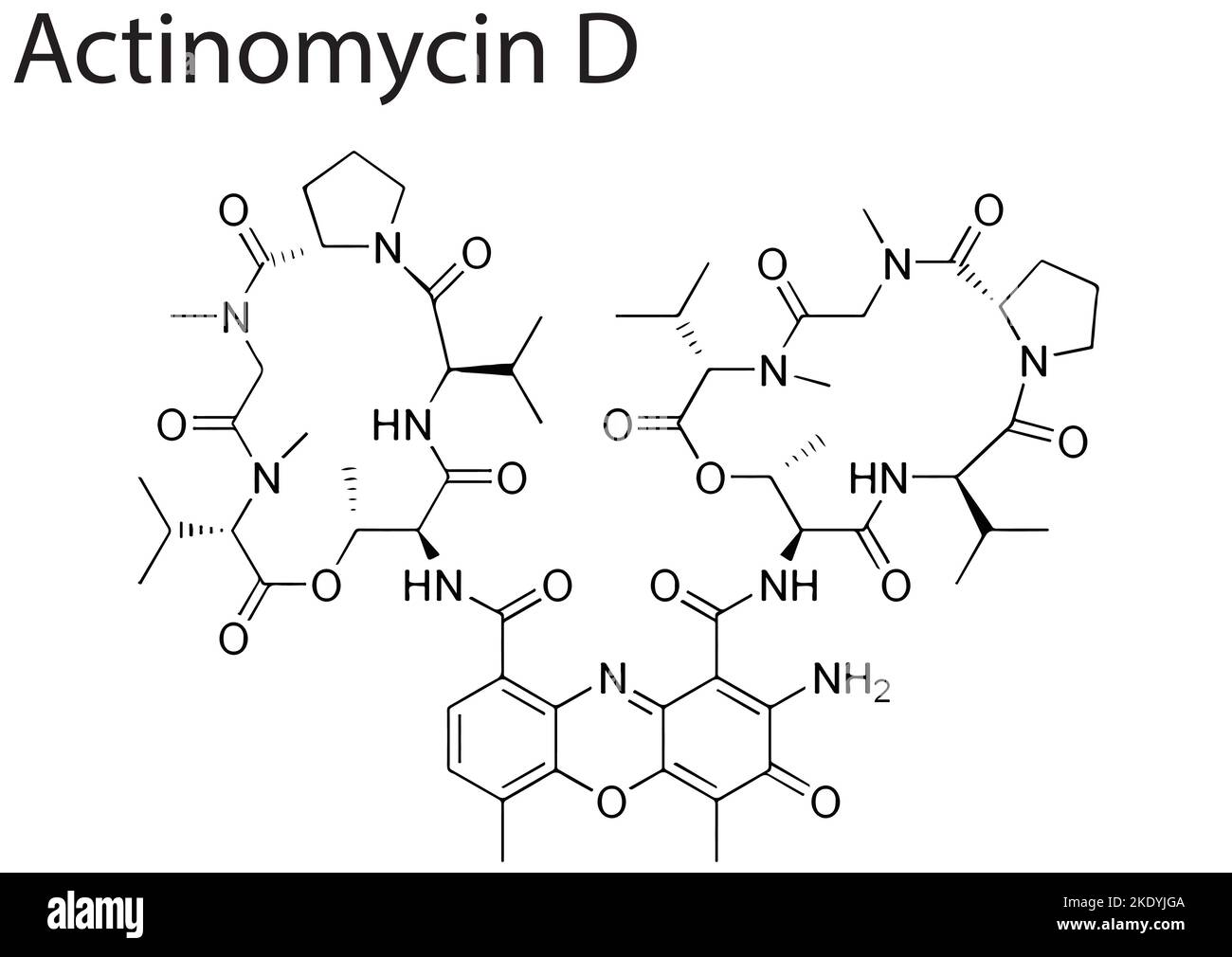 Anticancer drug research Cut Out Stock Images & Pictures - Alamy