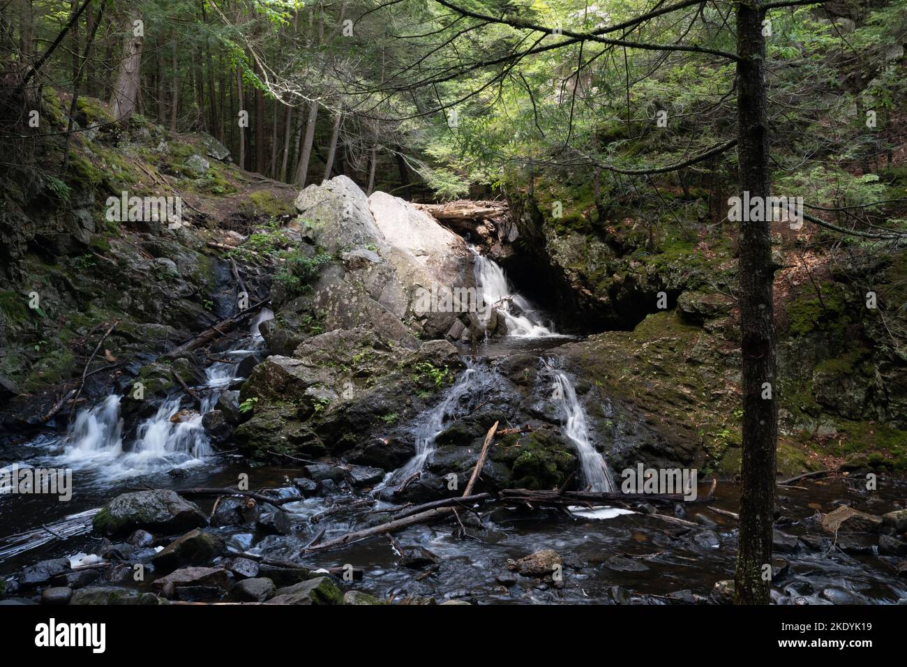 The Bear's Den waterfall flowing over mossy rocks during the daytime ...