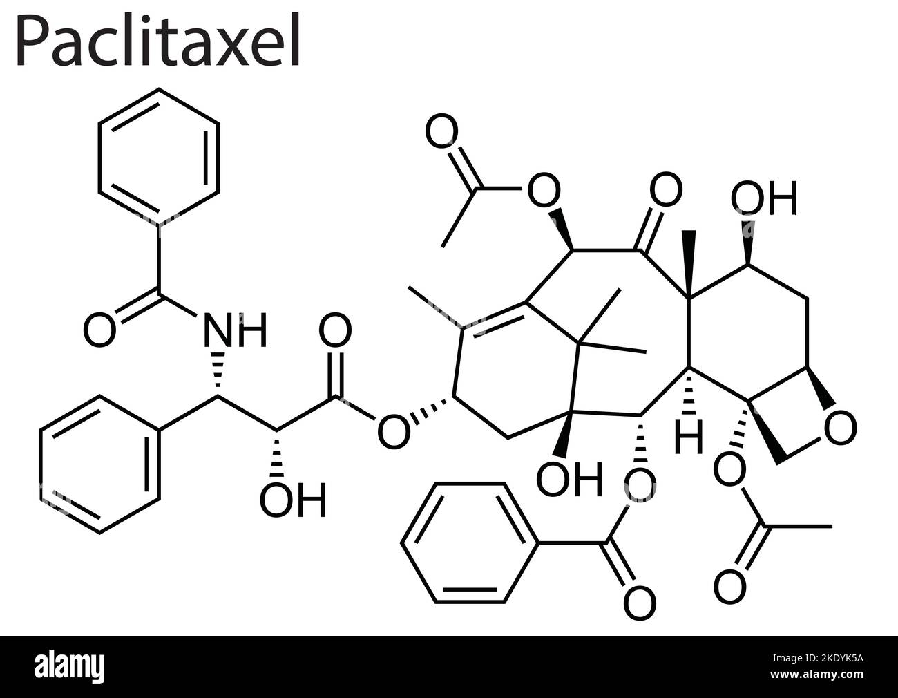 A Chemical Structure Of An Anticancer Drug Paclitaxel Stock Vector