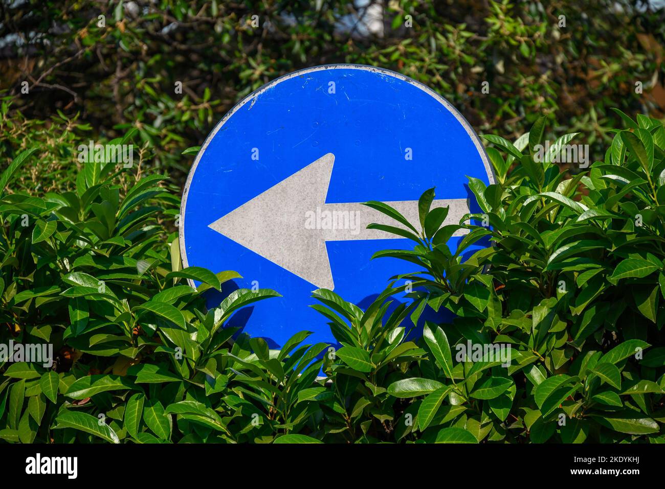 Road sign in a green hedge Stock Photo - Alamy