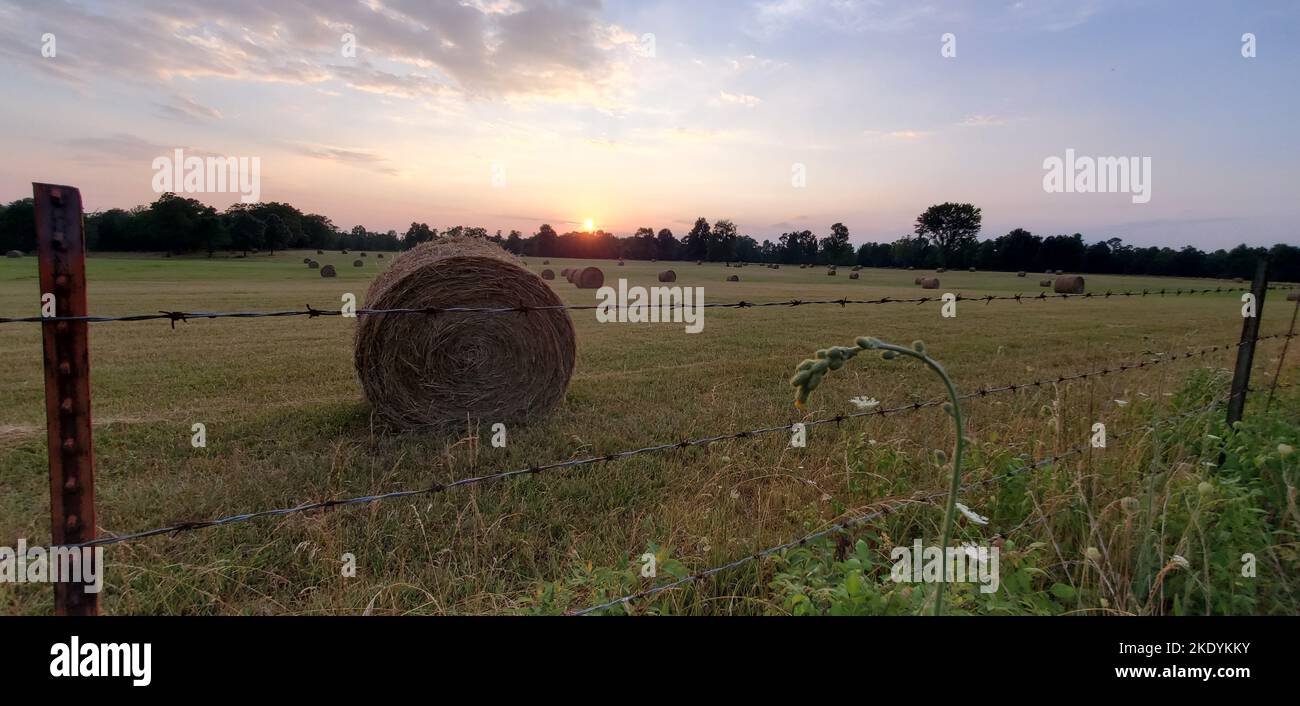 Hale farm village hi-res stock photography and images - Alamy