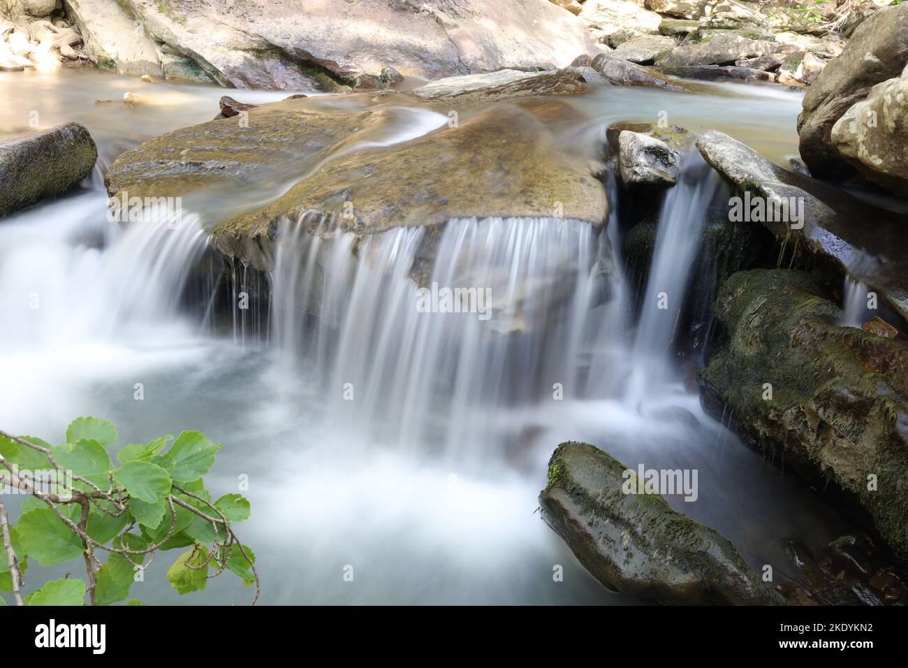 A waterfall flowing over rocks with a tree branch full of green leaves ...