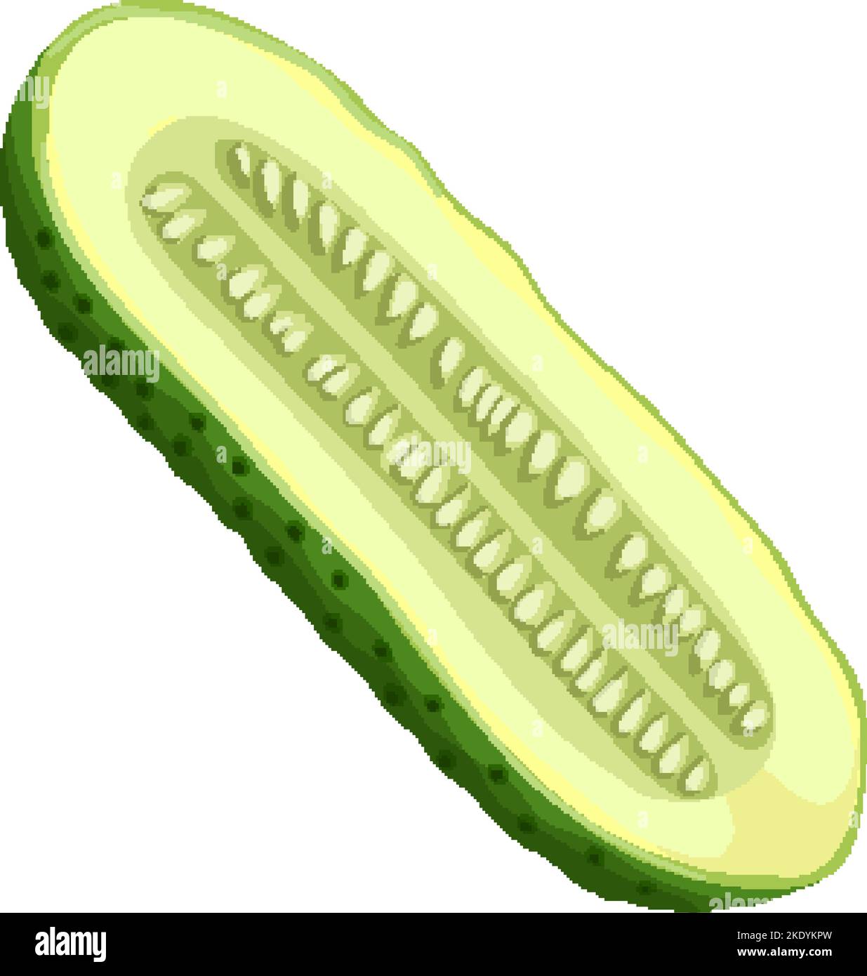cucumber cut cartoon vector illustration Stock Vector Image & Art - Alamy