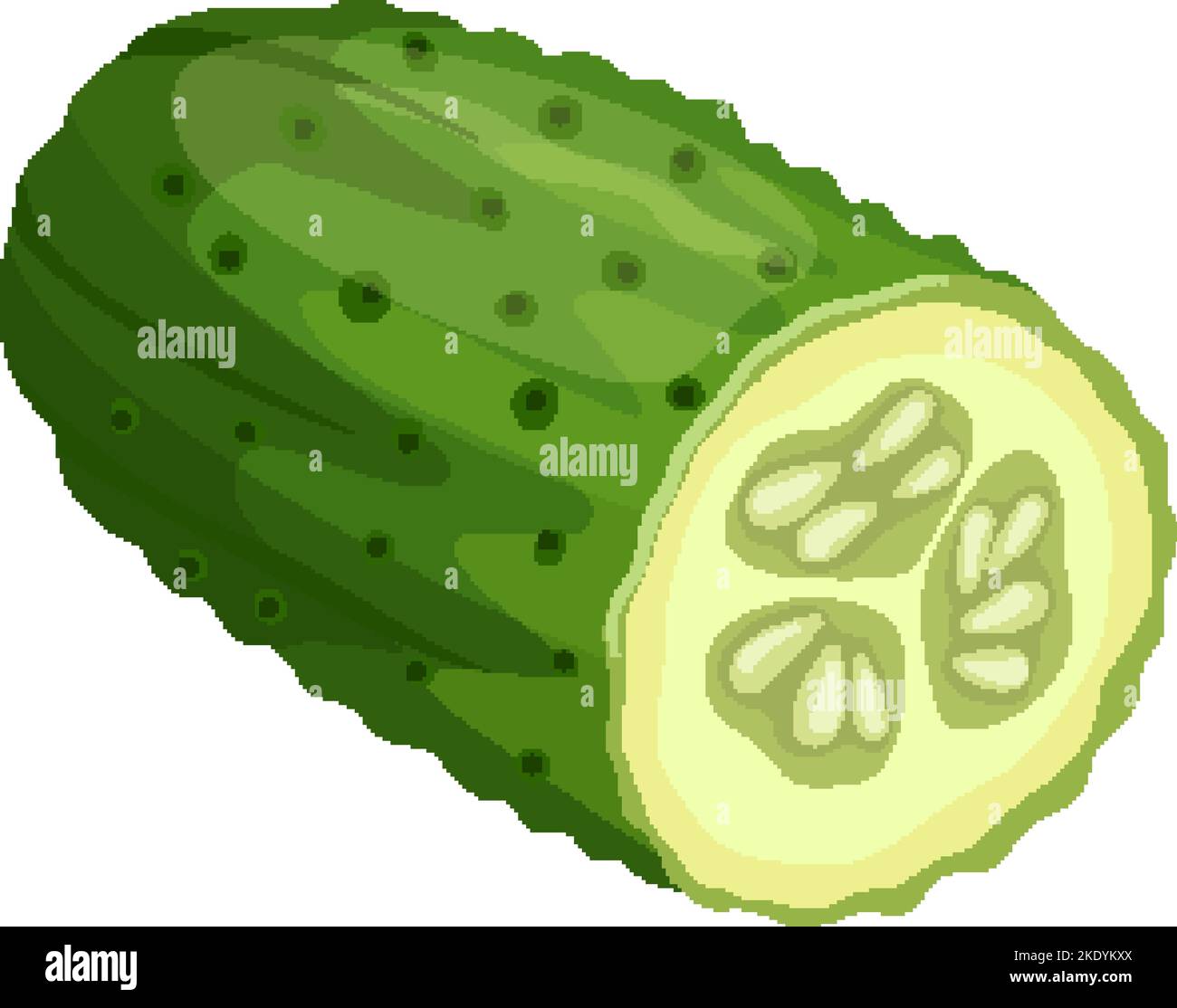 cucumber cut cartoon vector illustration Stock Vector Image & Art - Alamy