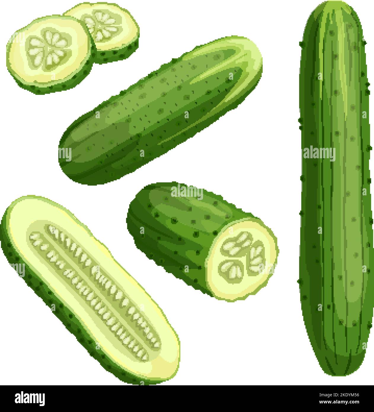 cucucmber fresh food set cartoon vector illustration Stock Vector Image ...