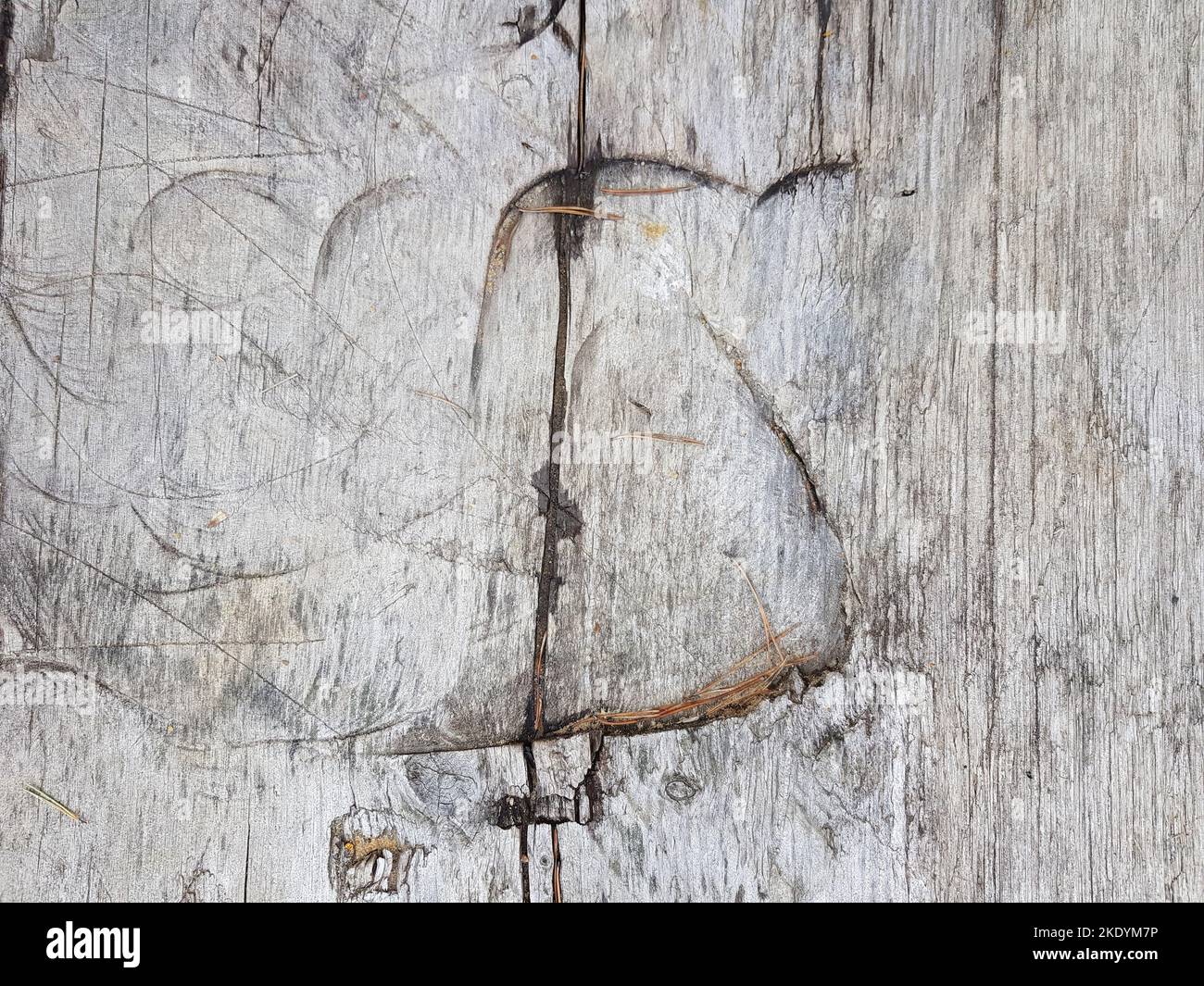 Wood texture background, top view panel Stock Photo - Alamy