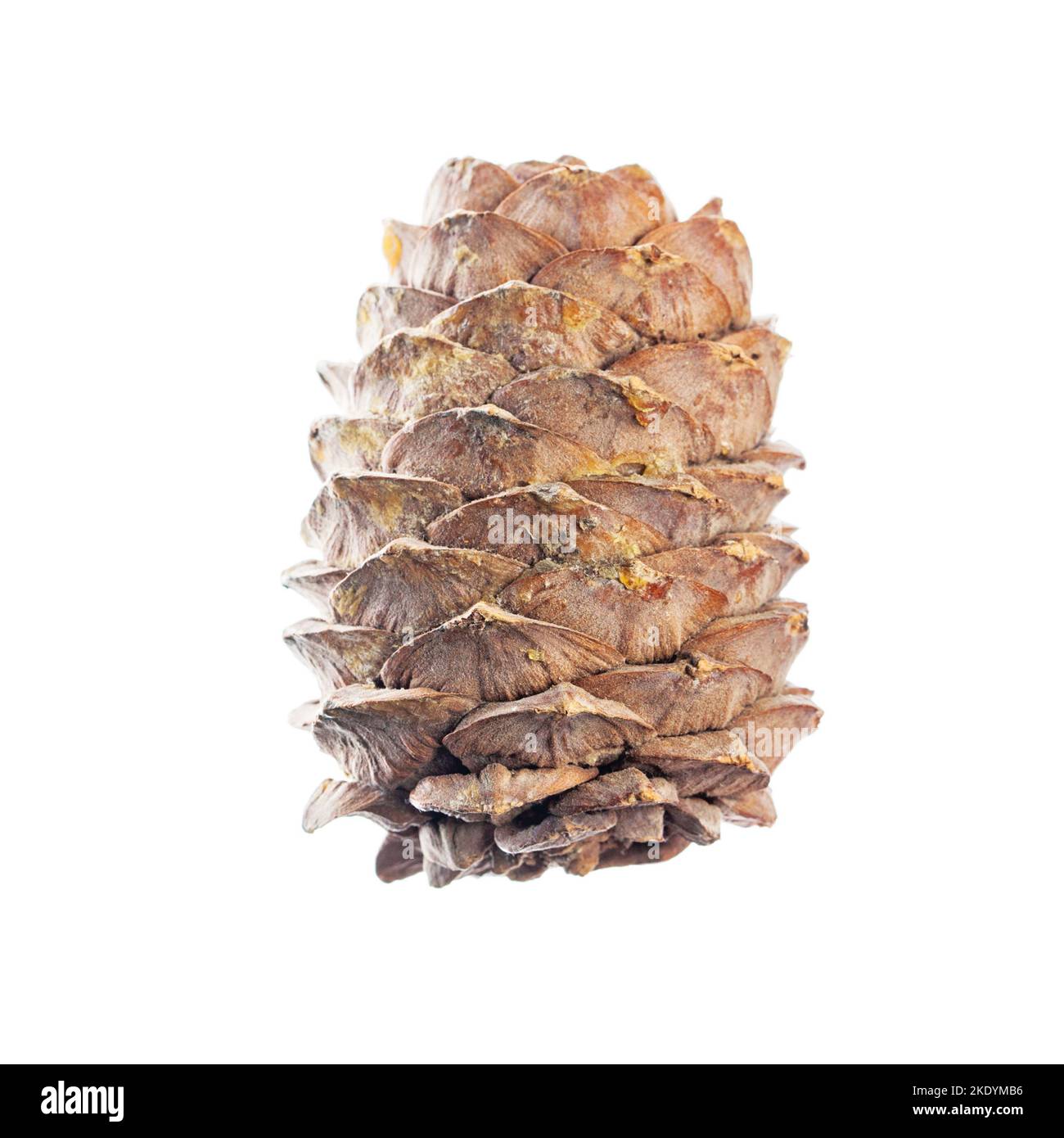 Cone isolated on white background Stock Photo - Alamy