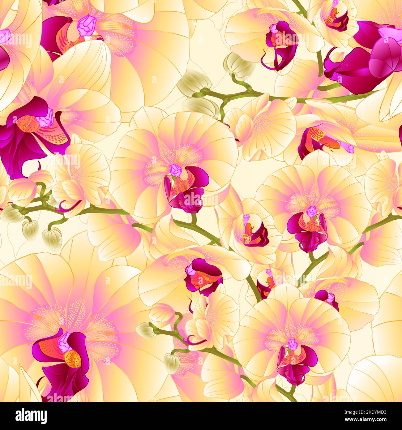 Seamless texture stems orchids yellow flowers Phalaenopsis tropical ...