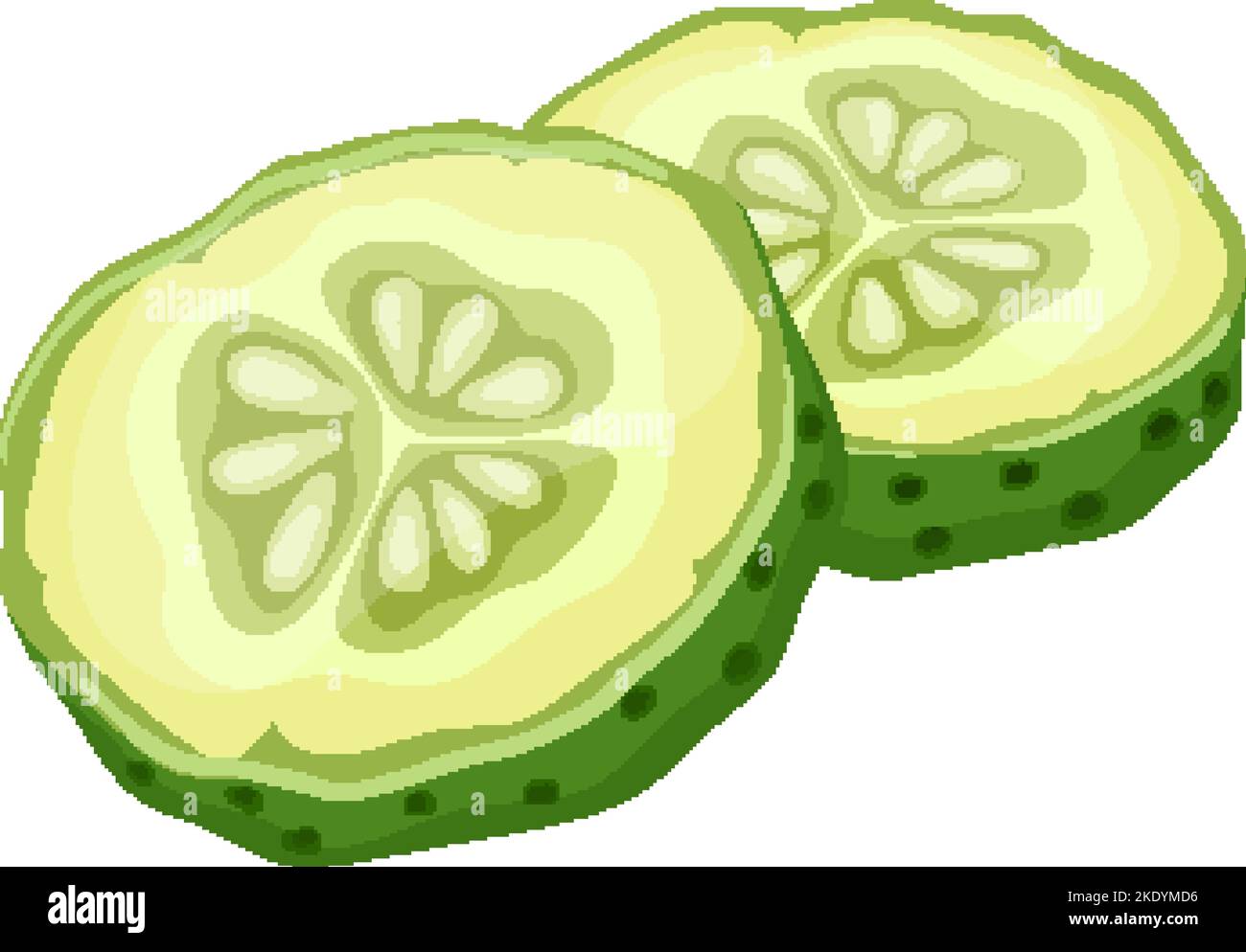 cucumber slice cartoon vector illustration Stock Vector Image & Art - Alamy