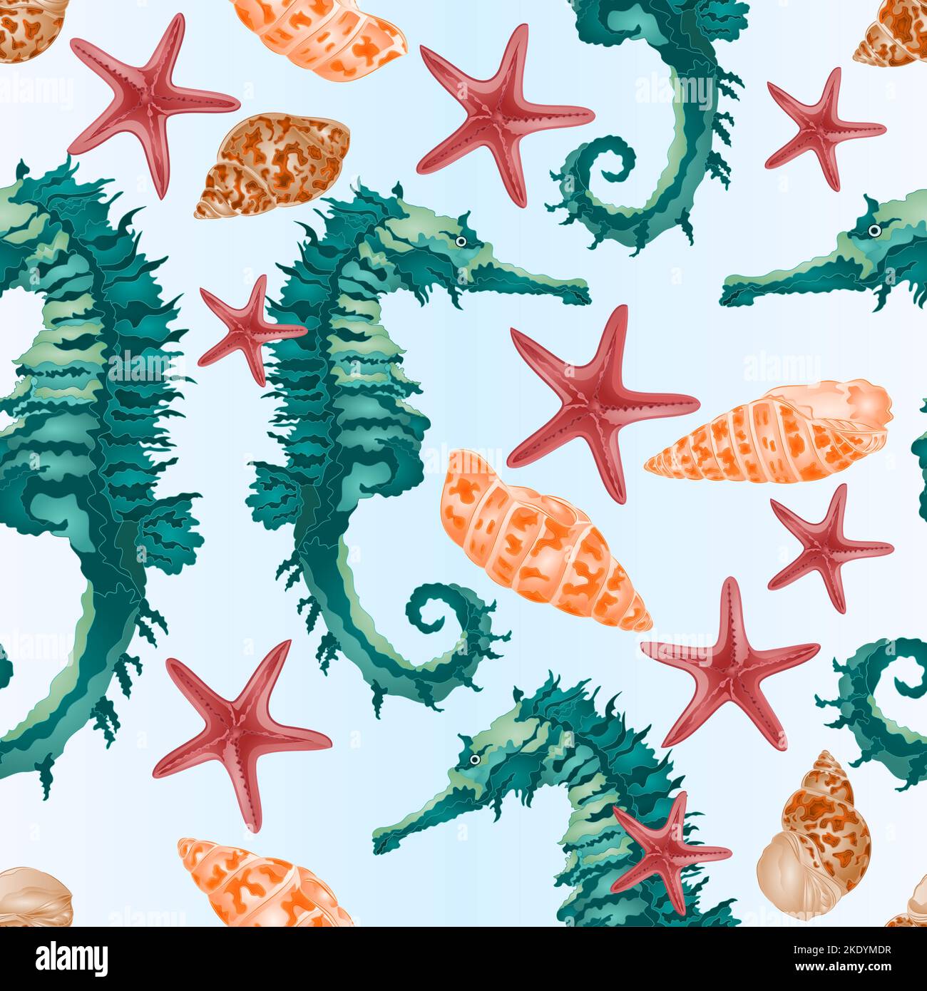 Editable sea shells hi-res stock photography and images - Alamy