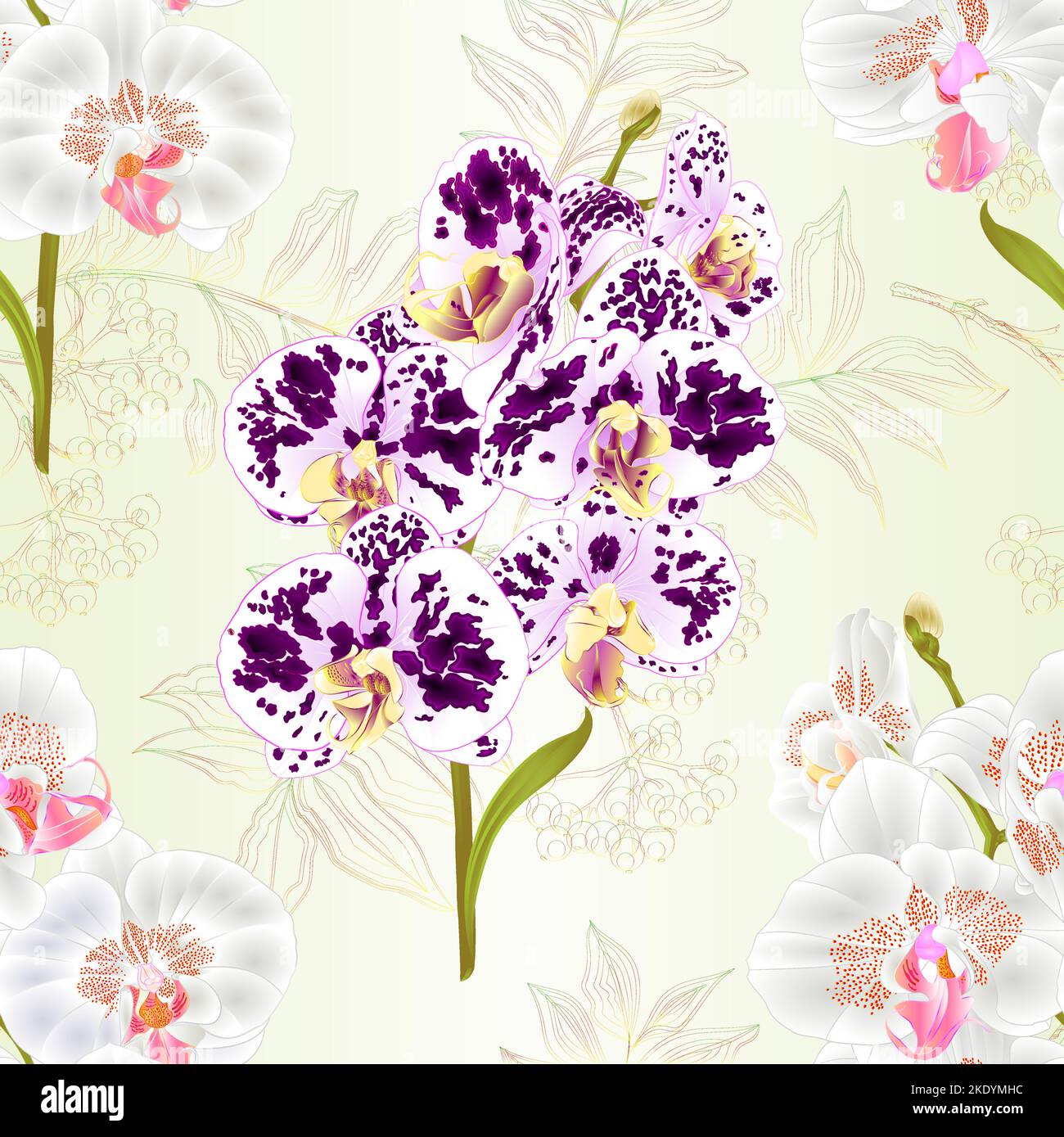 Seamless Texture Branch Orchid Phalaenopsis White And Spoted Flowers