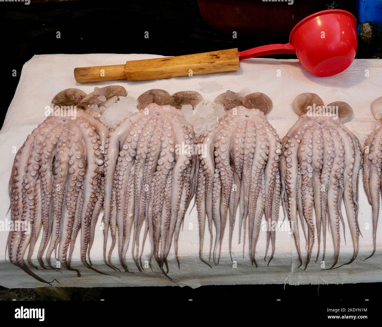 Selection of octopus on display for sale in local fish market Stock ...