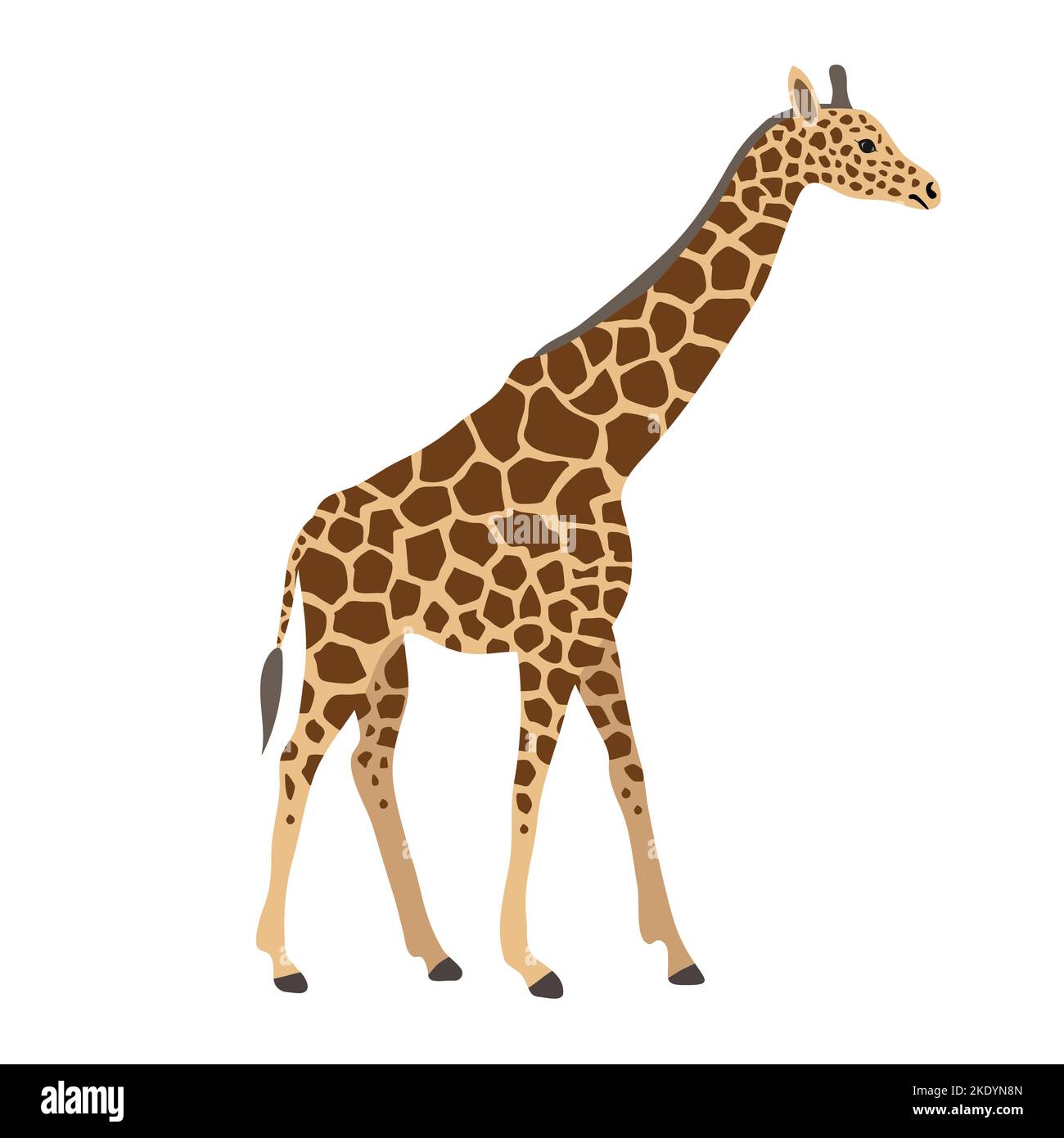 Vector flat hand drawn giraffe isolated on white background Stock ...