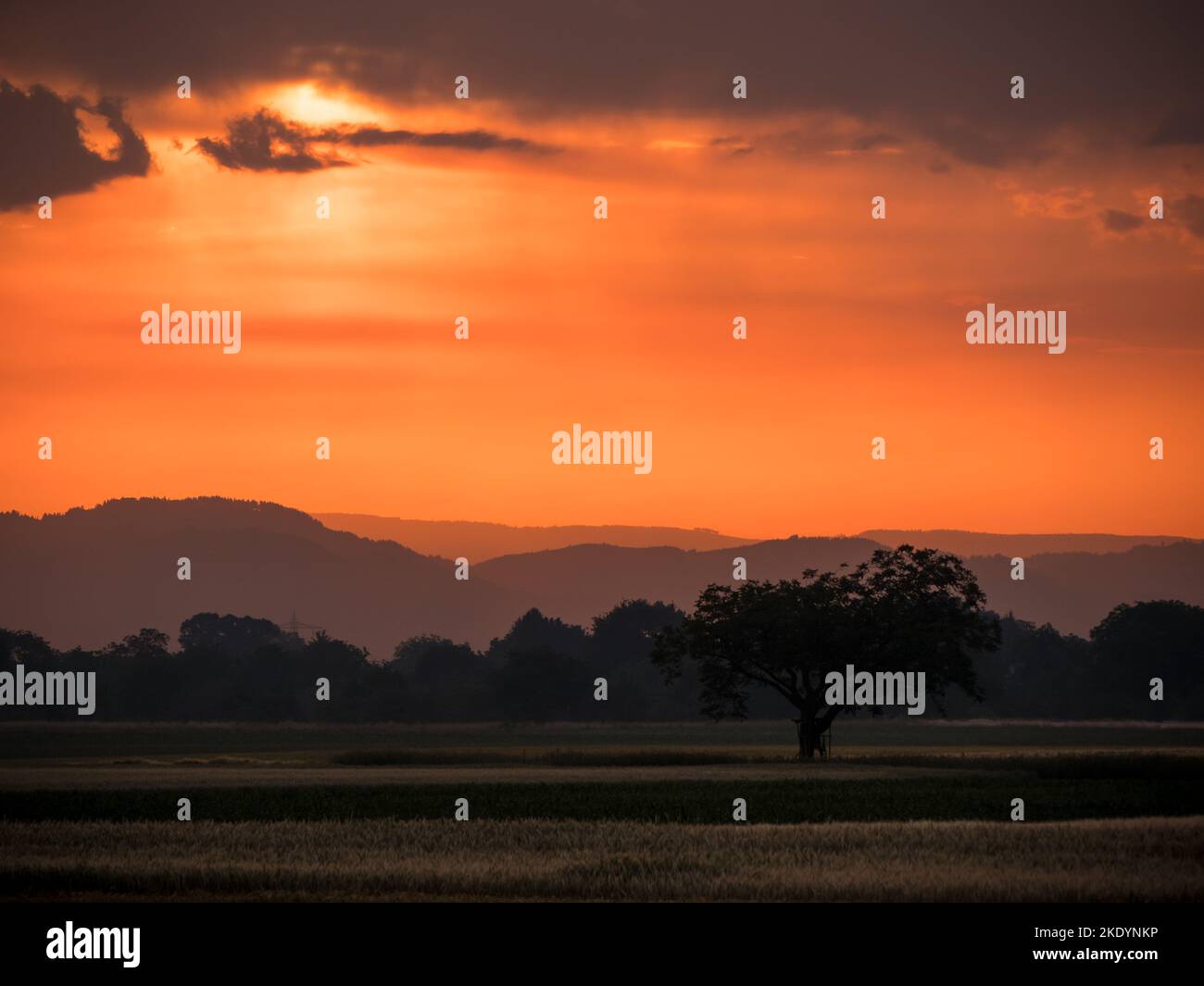 A beautiful landscape of a sunset over the Black Forest in Germany ...