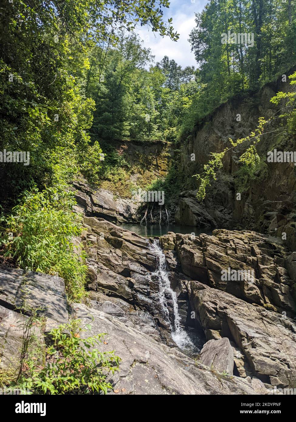A vertical shot of a waterfall flowing down the wall in a forest ...