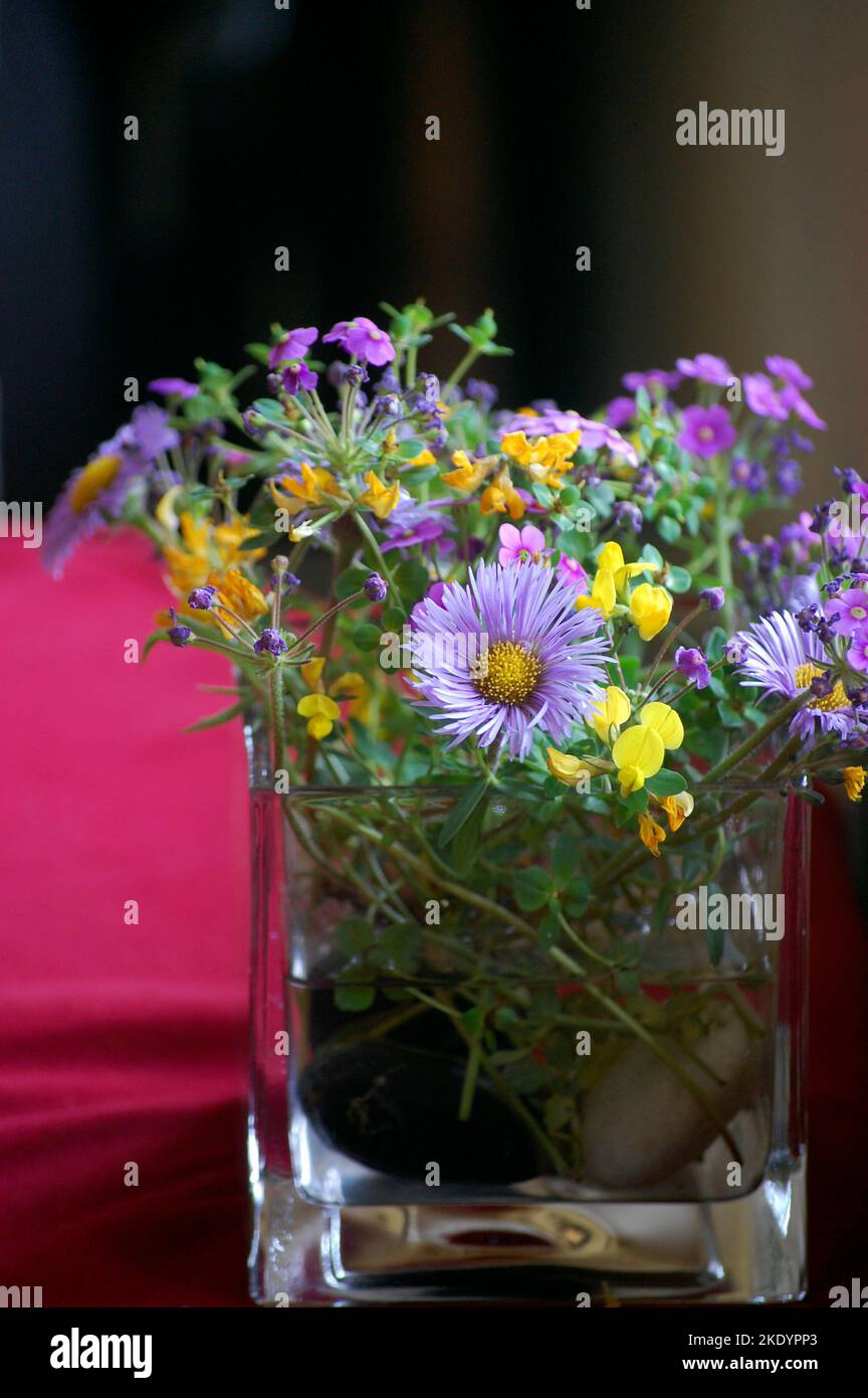 A closeup of a glass vase with beautiful flowers Stock Photo - Alamy