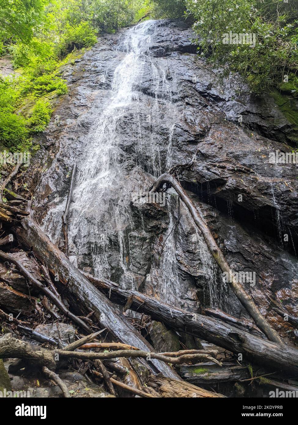 A vertical shot of a waterfall flowing down the wall in a forest ...