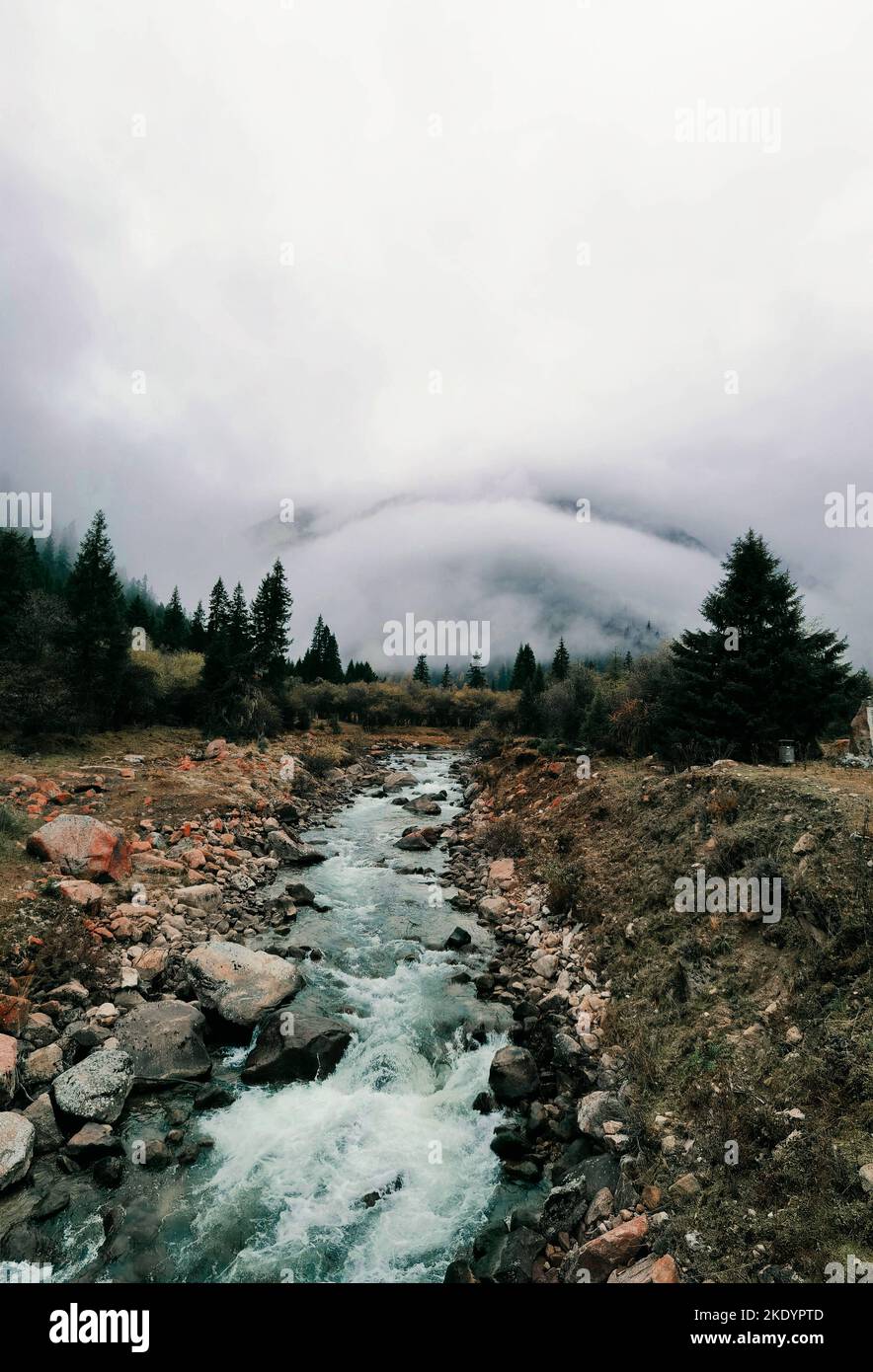 A vertical shot of the Dagu glacier landscape in Sichuan, China Stock ...