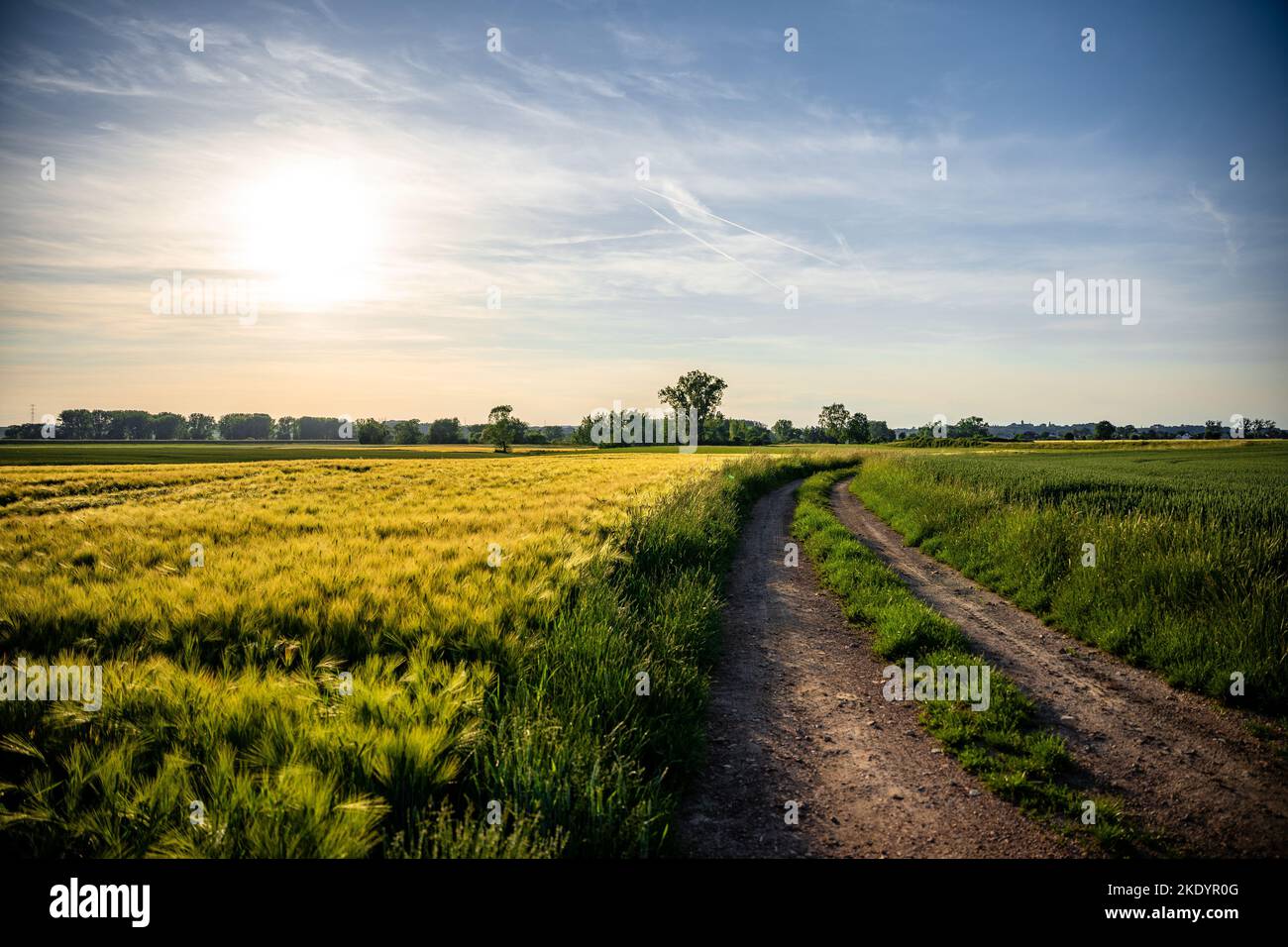 A beautiful countryside landscape with a path passing through the green ...
