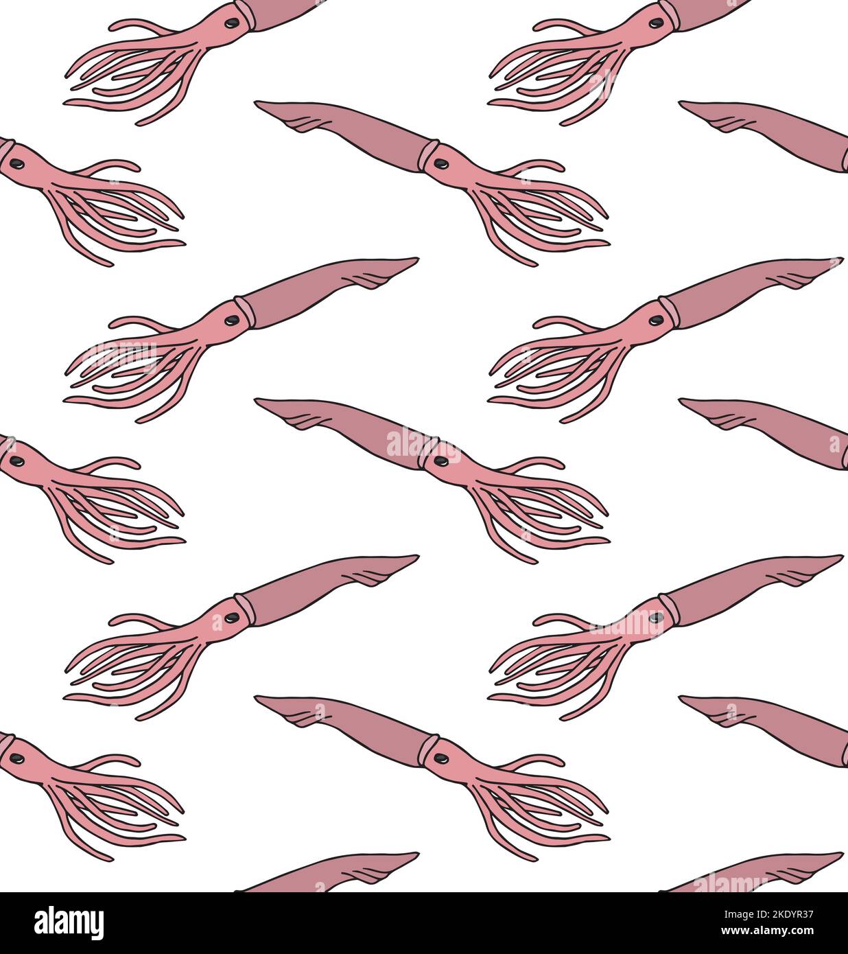 Vector seamless pattern of hand drawn sketch doodle colored squid ...