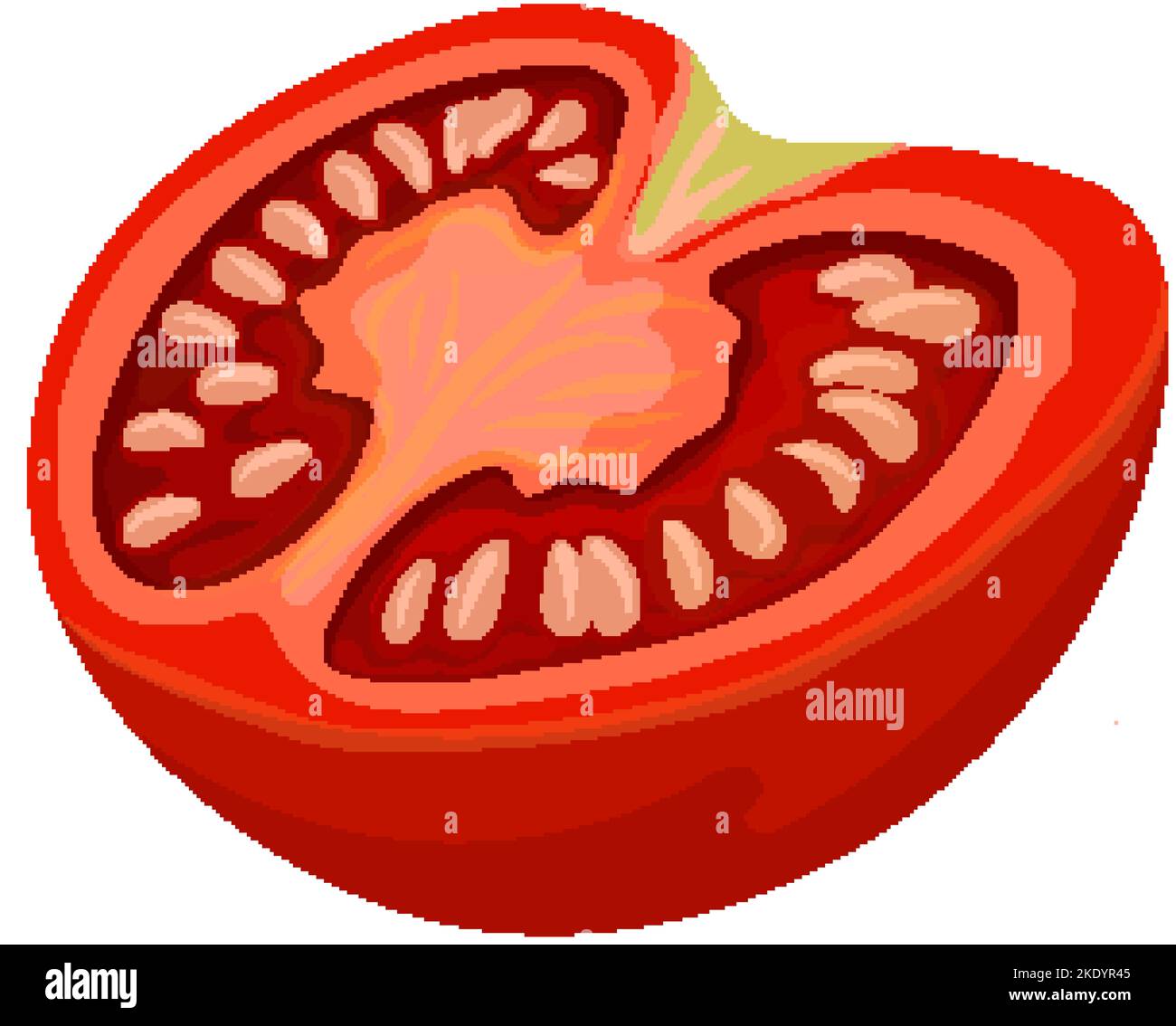 tomato cut cartoon vector illustration Stock Vector Image & Art - Alamy