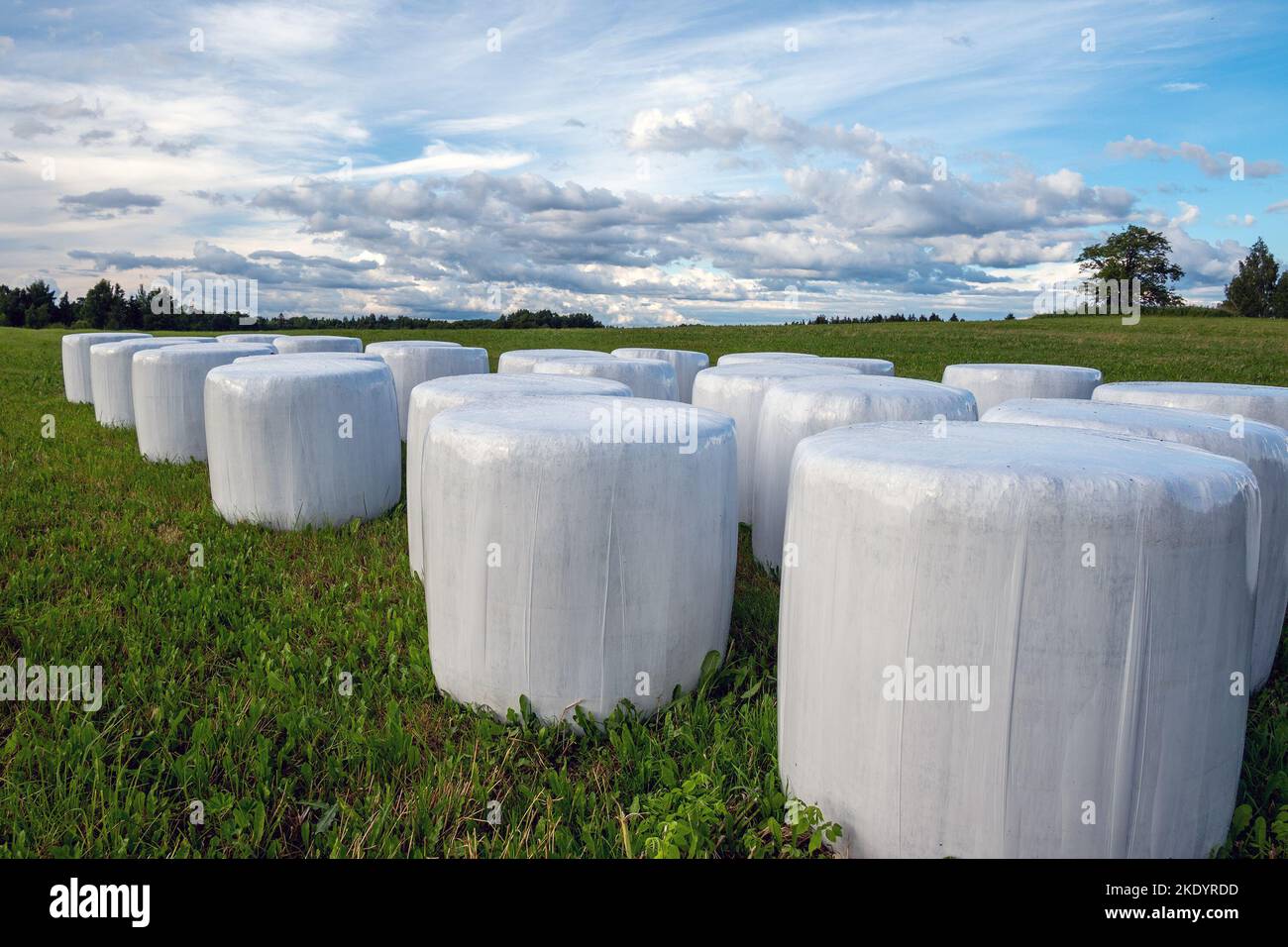 Roll bale wrap silage hi-res stock photography and images - Alamy