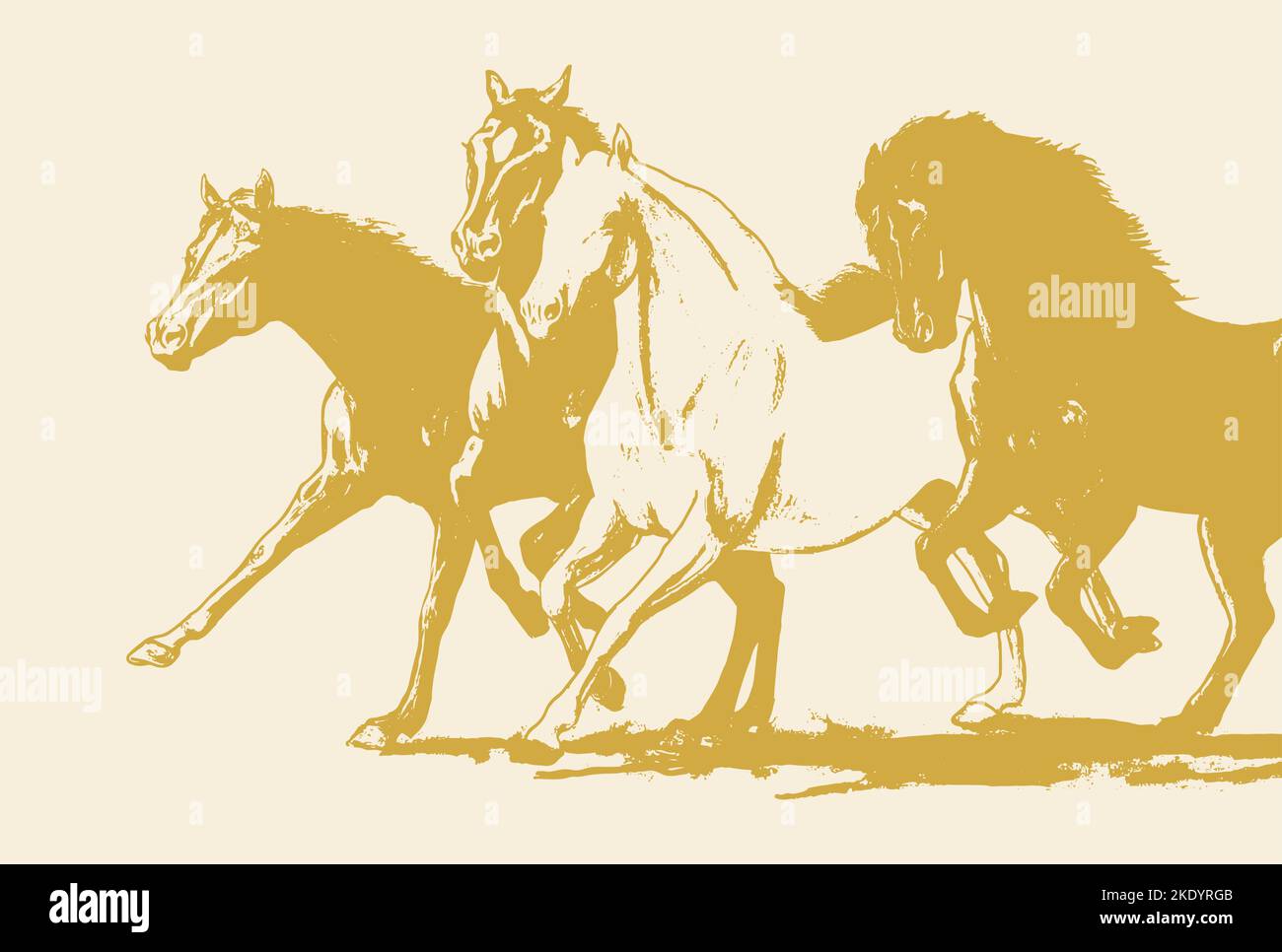 Three equestrian Stock Vector Images - Alamy