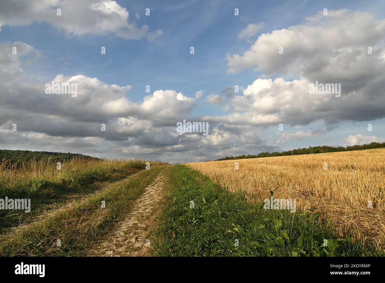 Dramatic clouds over the autumn fields with path Stock Photo - Alamy
