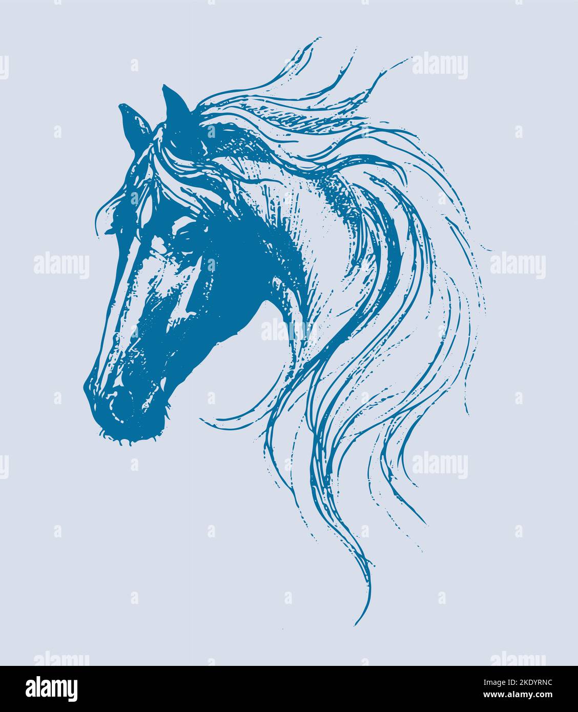 A vector illustration of a beautiful horse portrait Stock Vector Image ...