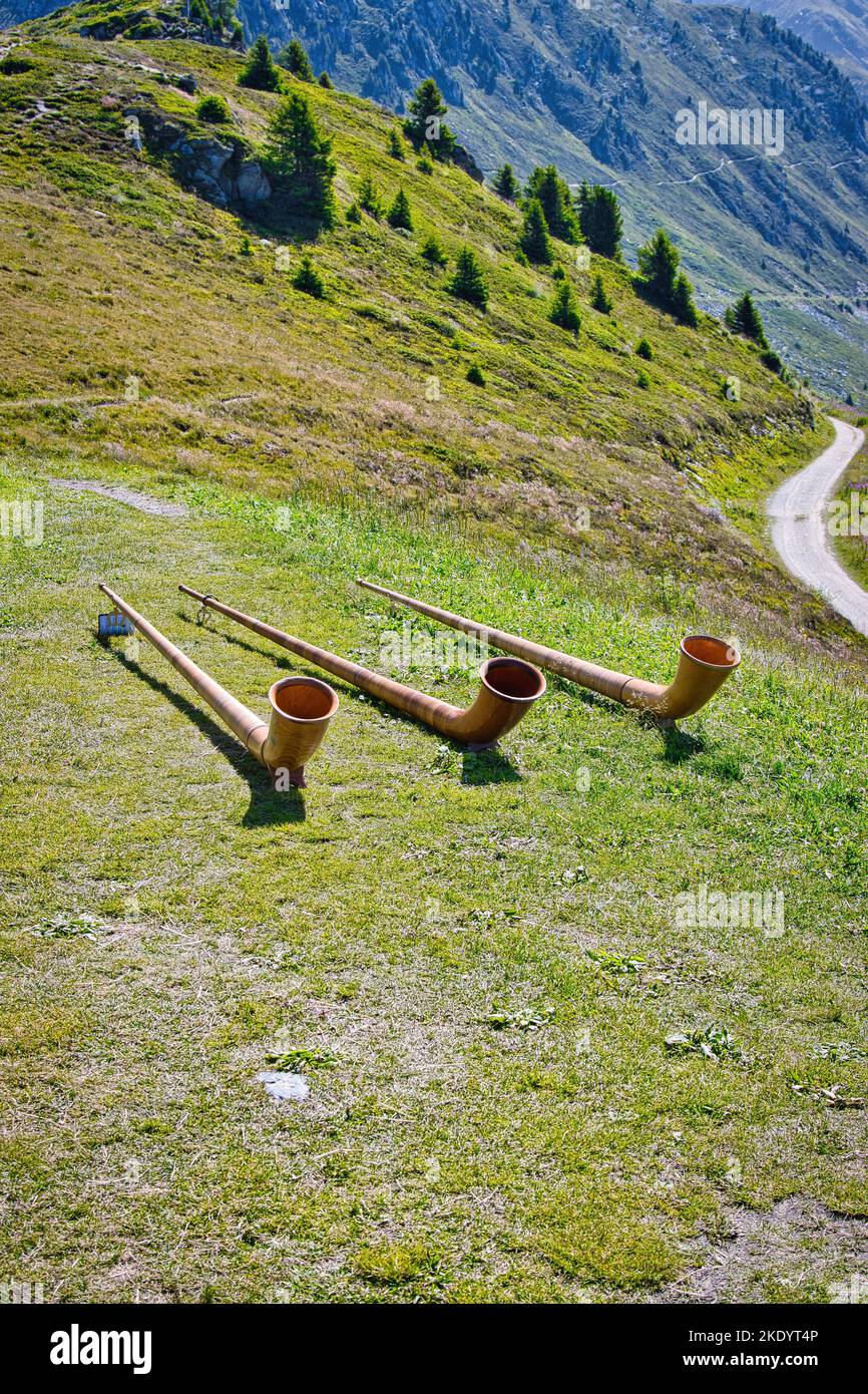 A vertical high-angle view of alp horns on the green slope in the ...