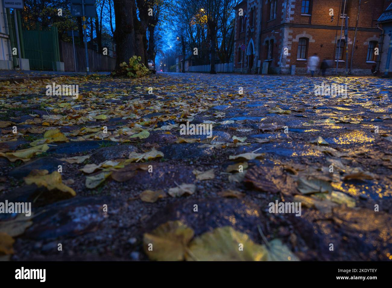 Liepaja city street in rainy autumn evening Stock Photo - Alamy