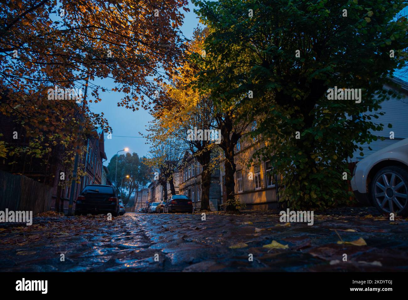 Liepaja city street in rainy autumn evening Stock Photo - Alamy