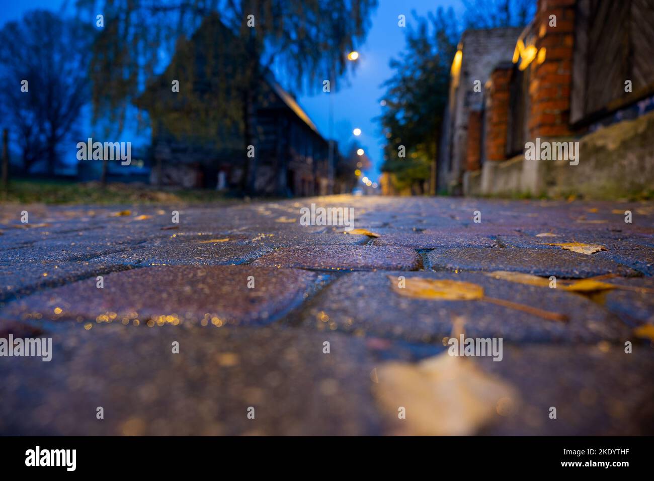 Liepaja city street in rainy autumn evening Stock Photo - Alamy