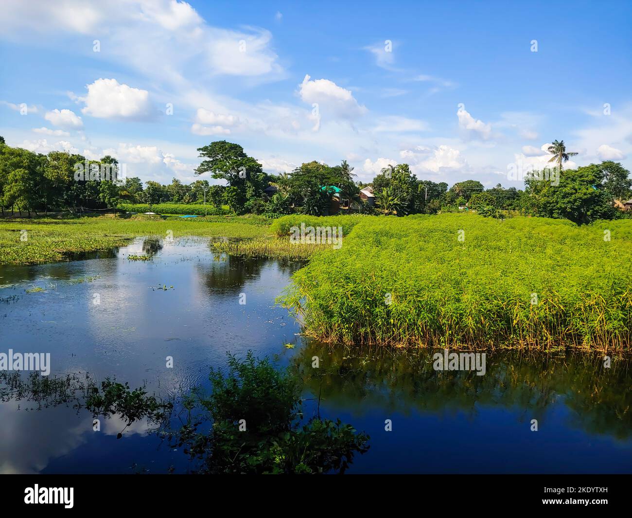 A swamp in a field with reflections of clouds Stock Photo - Alamy