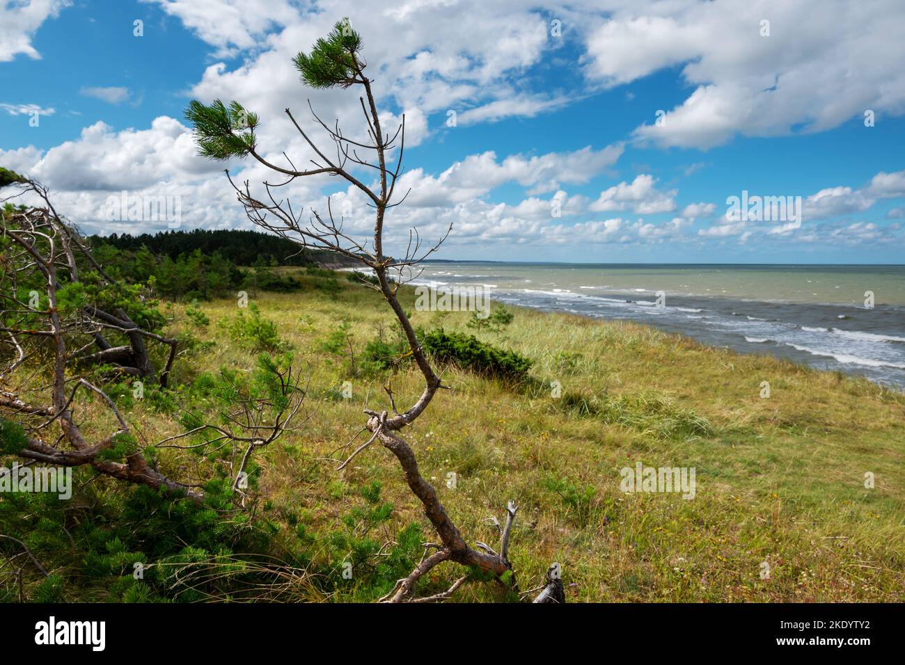 Baltic seaside coast hi-res stock photography and images - Alamy