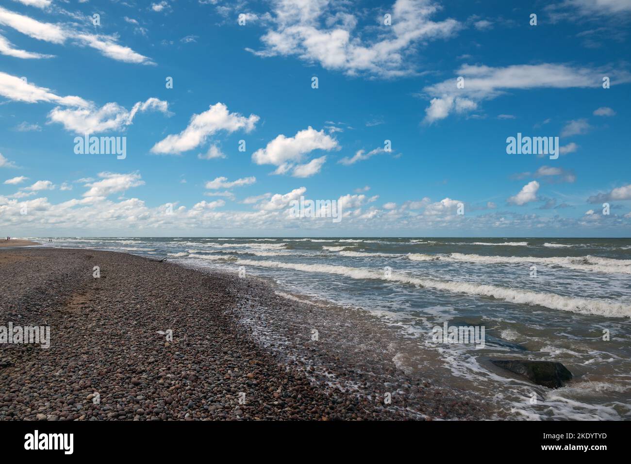 Baltic sea east coast in windy summer day Stock Photo - Alamy