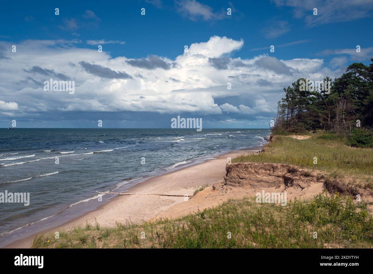 Baltic sea east coast in windy summer day Stock Photo - Alamy