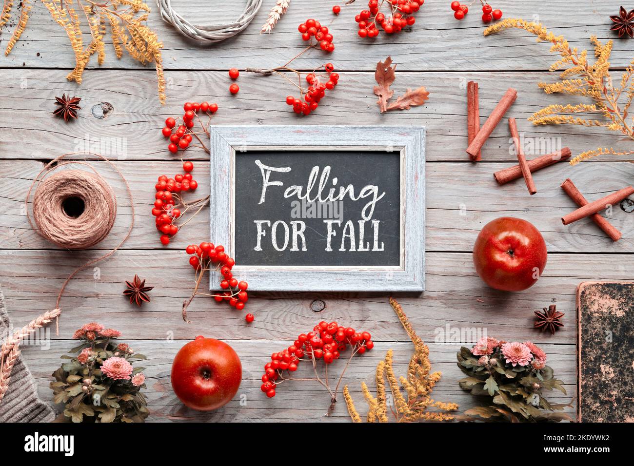 Falling for Fall text on blackboard, chalk board. Orange Hokkaido ...