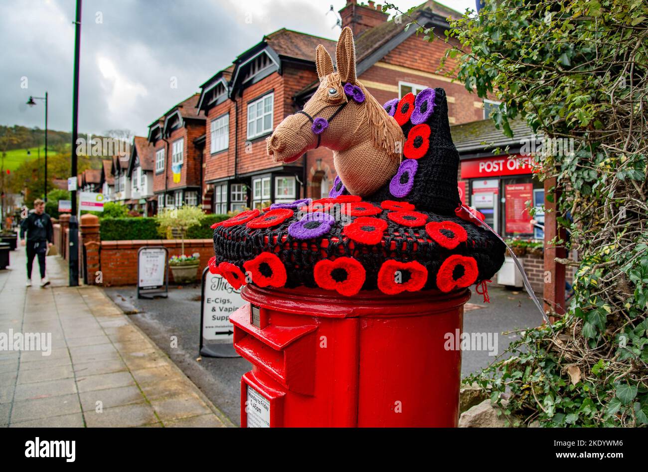 Whalley, Clitheroe, Lancashire, UK. 9th Nov, 2022. A post box cover at ...