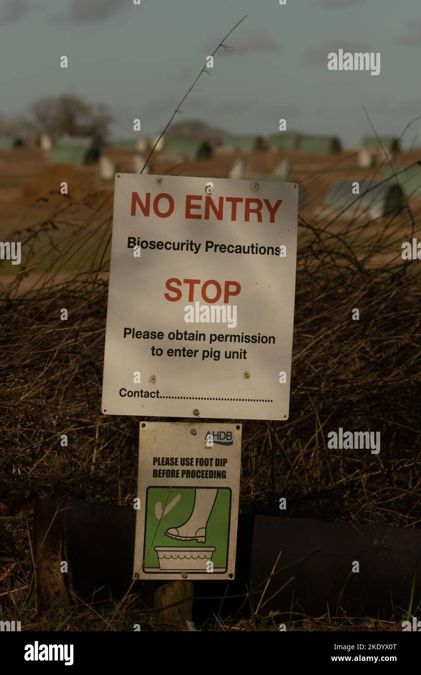 The biosecurity precautions warning sign saying No Entry to pig unit ...