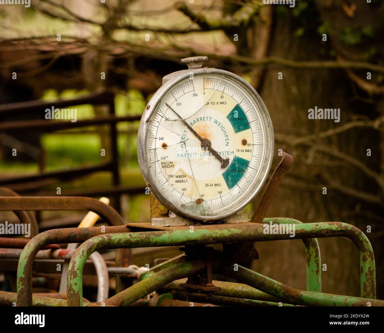 An old weathered pig weighing scales dial with a broken glass cover ...