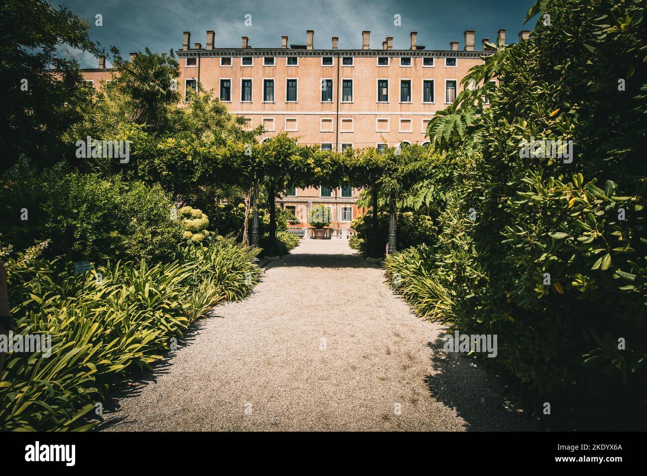A path in a garden with green trees in Venice, Italy Stock Photo - Alamy