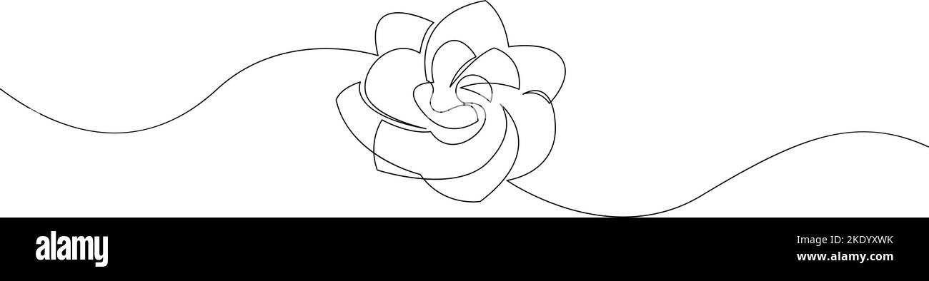 Peony flower continuous one line drawing. Hand drawn minimalism style ...