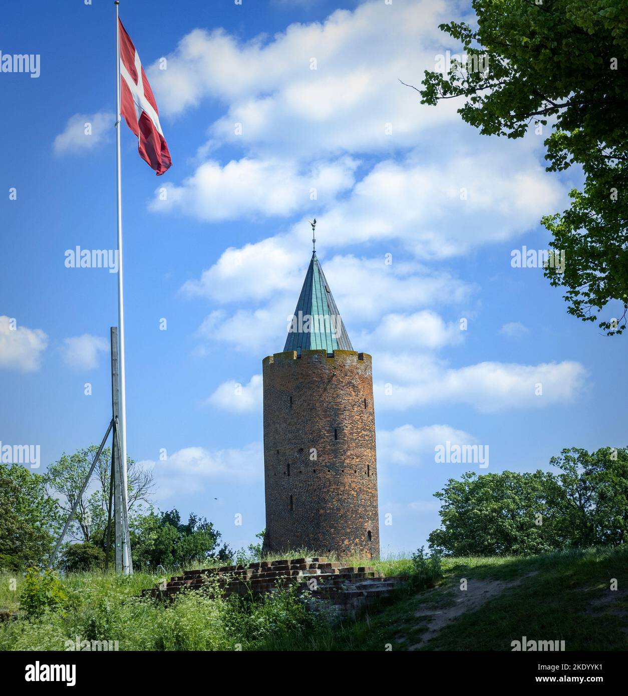 A vertical shot of the ancient Goose Tower in Denmark surrounded by ...