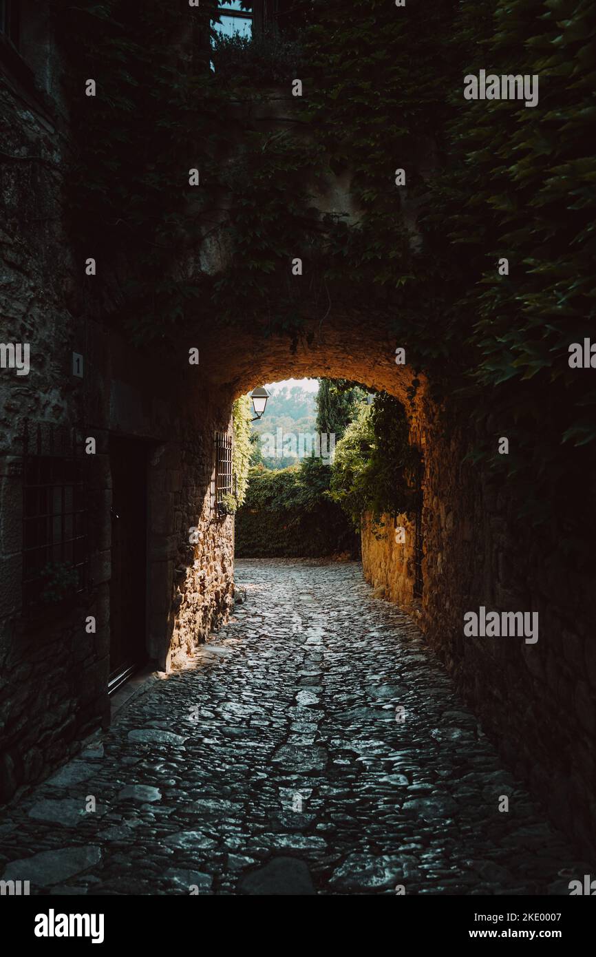 A hidden pathway made with solid blocks with trees Stock Photo - Alamy