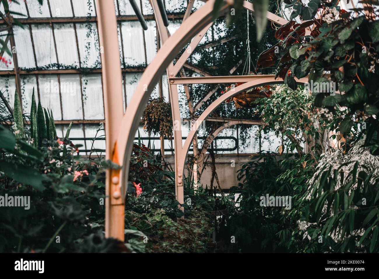 greenhouse of a botanic garden with large windows that protect the many ...