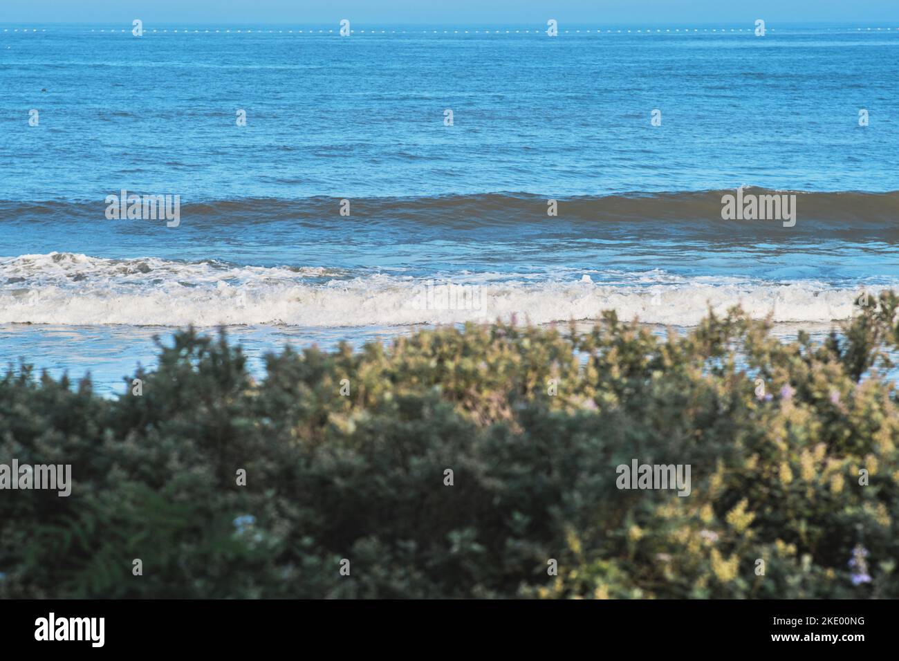A view of a sea with small waves and bushes in a foreground Stock Photo ...