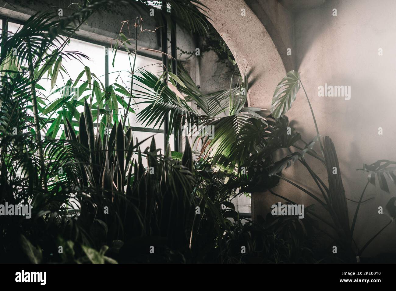 interior walls of a beautiful botanic garden filled with plants of ...
