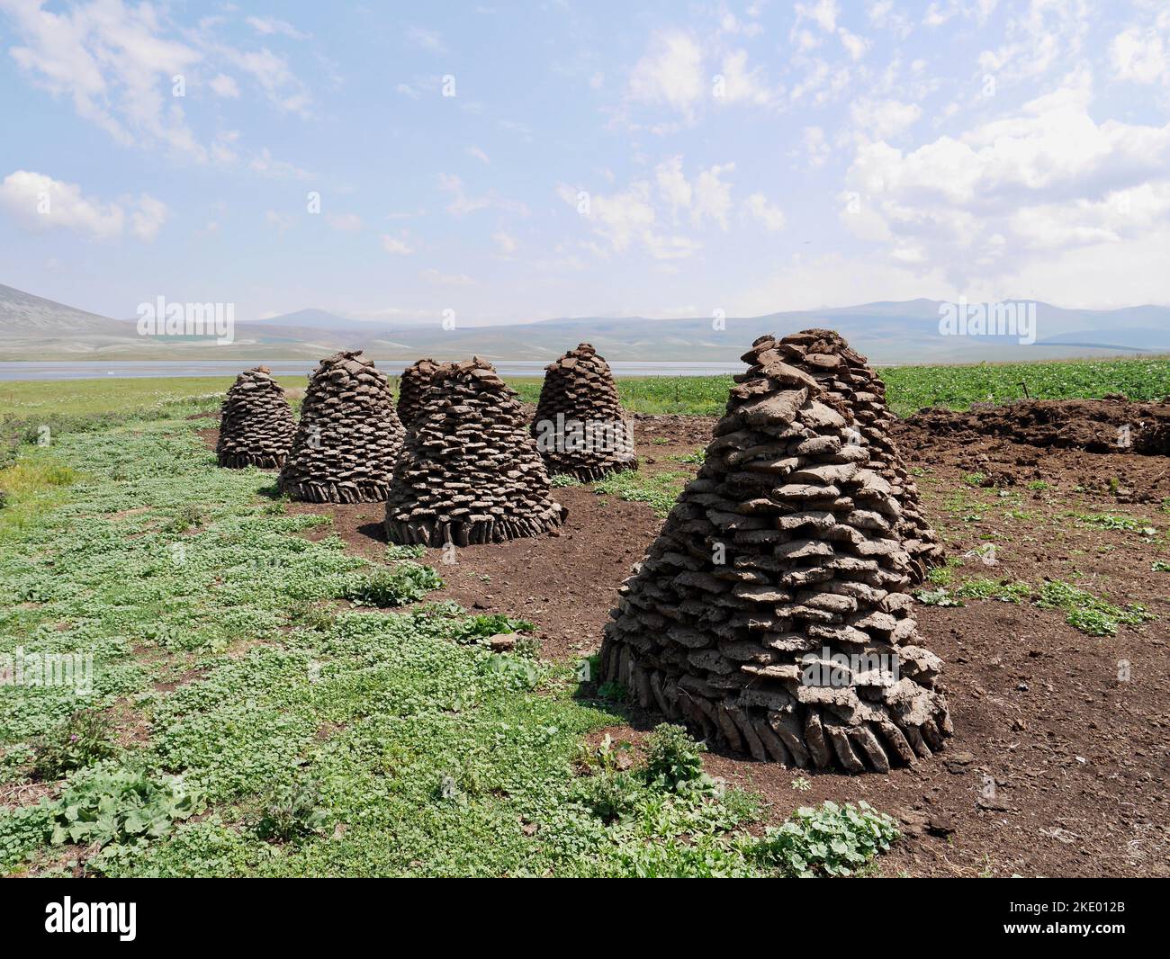Bog bricks hi-res stock photography and images - Alamy