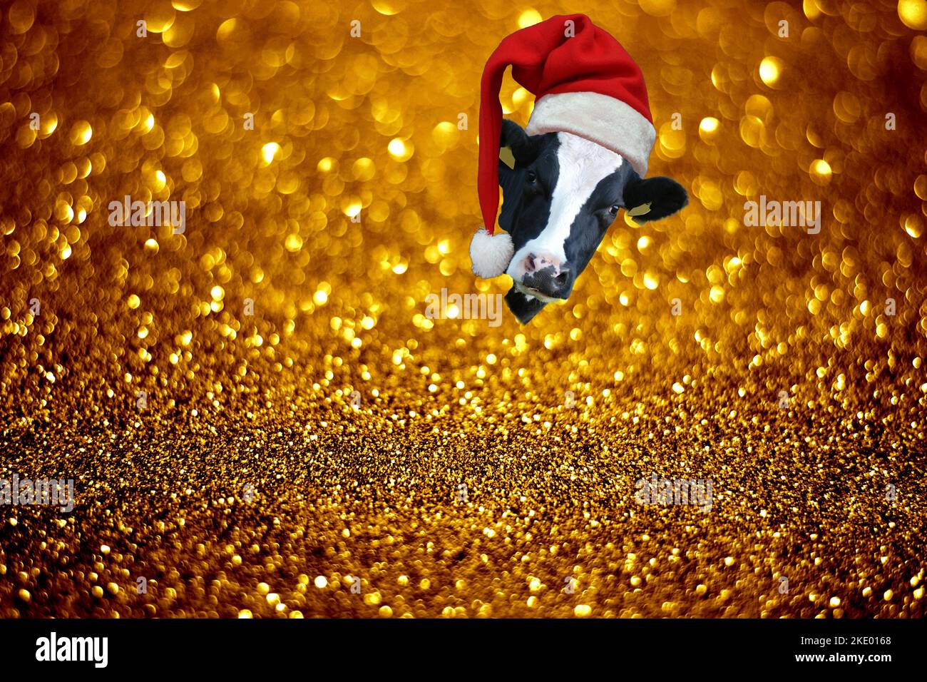 Santa with cow hi-res stock photography and images - Alamy